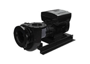 PACO Type LCS Pump - R.F. MacDonald Co.