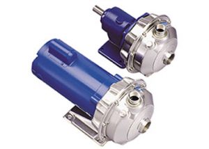 Xylem Goulds Model NPE/NPE-F Pump - R.F. MacDonald Co.